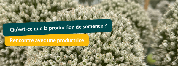 Qu’est-ce que la production de semences ? - Comunica Coltura